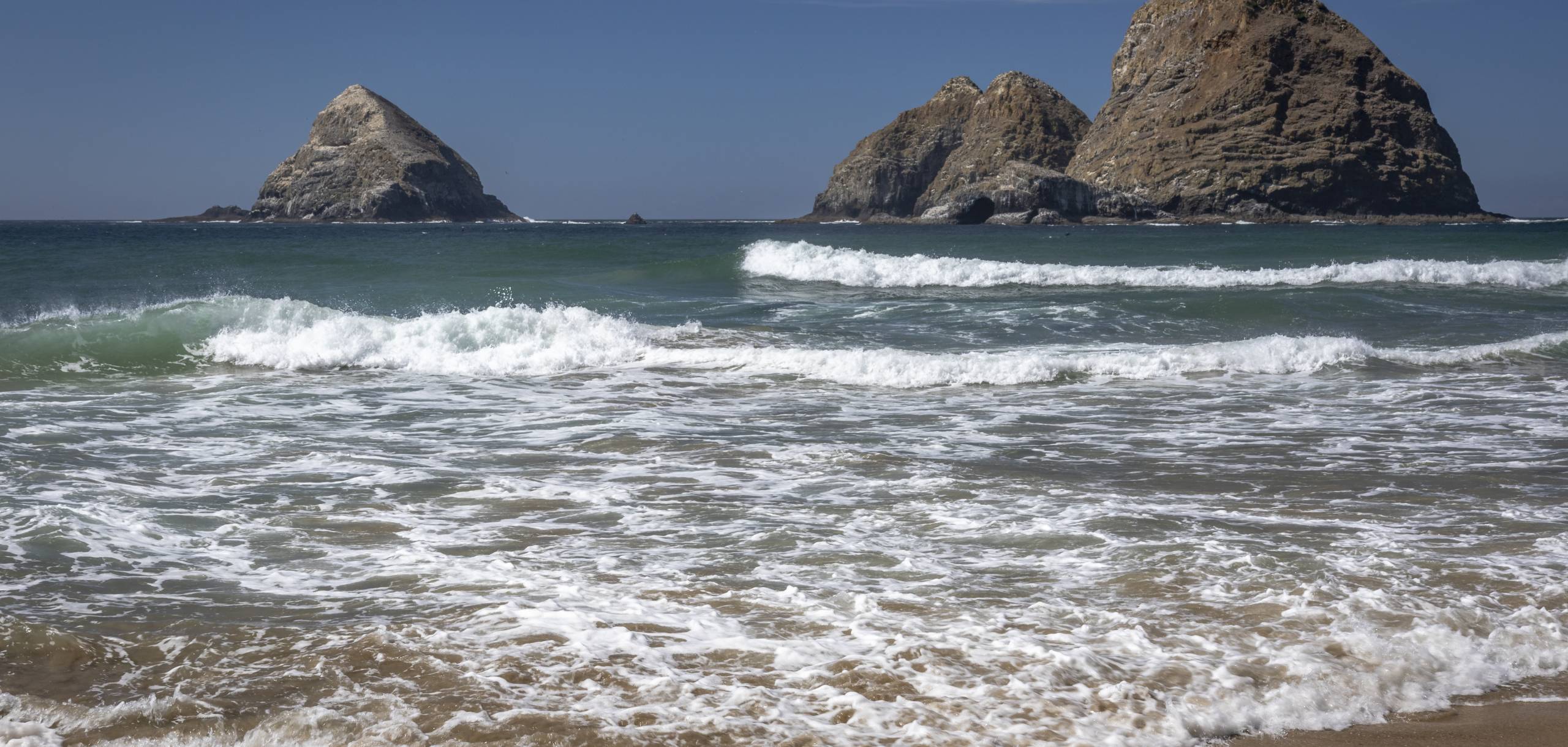 Shore Thing Vacation Rentals | Oregon Coast Vacation Rentals